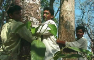 Major Environmental Movements in India - Clear IAS