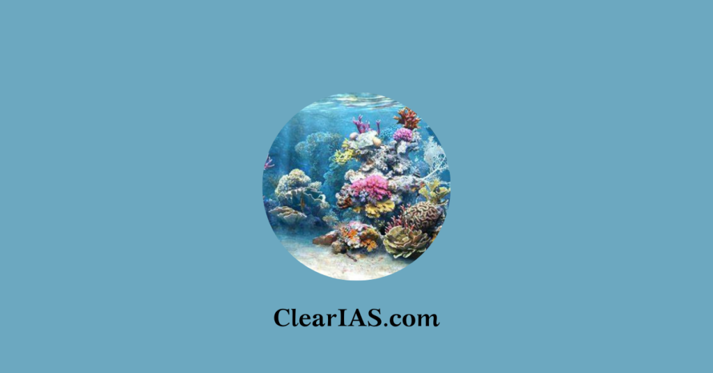 Aquatic Biomes: Marine and Freshwater Biomes - ClearIAS