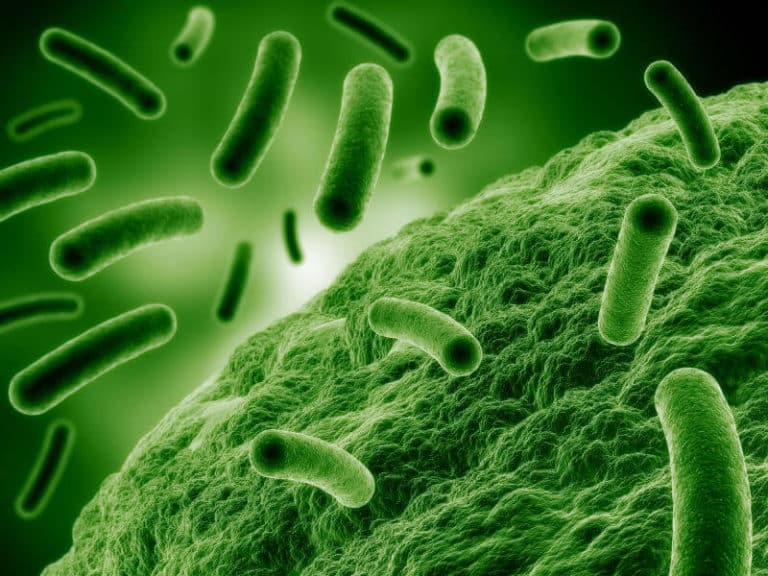 Anti-Microbial Resistance (AMR) and the Red Line Campaign - Clear IAS