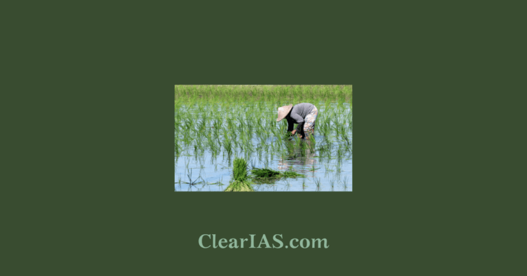 Direct Seeding of Rice - ClearIAS
