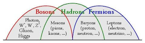 Fermions and Bosons : Particles Which Make The Universe