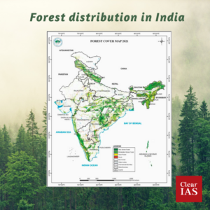 Forest - Know the Different Types - ClearIAS
