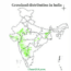 Grasslands: Types, Features, and Significance | ClearIAS