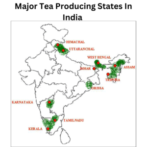 Tea Board India - ClearIAS