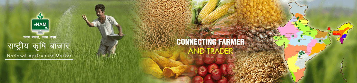 Agricultural Marketing Reforms: Model APMC Act and NAM