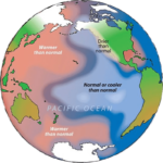 Pacific Decadal Oscillation (PDO) | ClearIAS