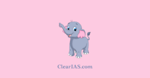 Project Elephant: All About Elephants | ClearIAS