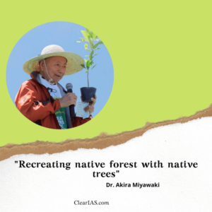 Miyawaki Technique: Creating Mini Forests in Urban Areas - ClearIAS