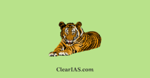 Tiger Translocation in India | ClearIAS
