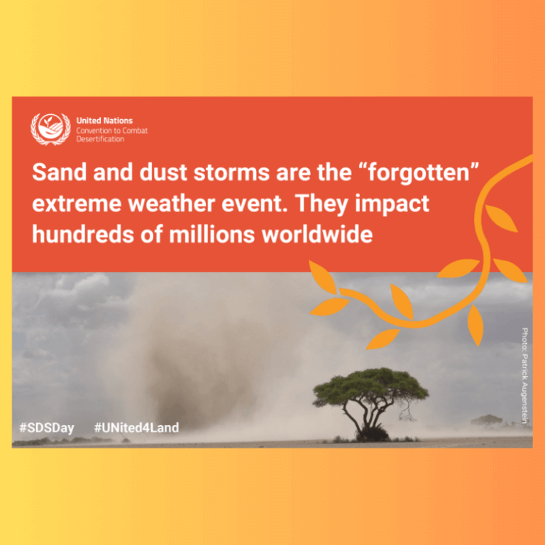 Sand and Dust Storms: Why has the frequency increased? | ClearIAS