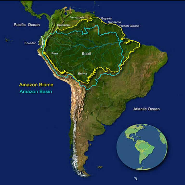 Amazon Rainforest: Significance and Threats - ClearIAS