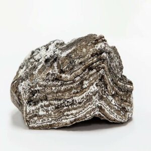 Ambergris: The Floating gold - ClearIAS