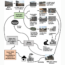 Biomining: How can it solve the problem of waste? | ClearIAS