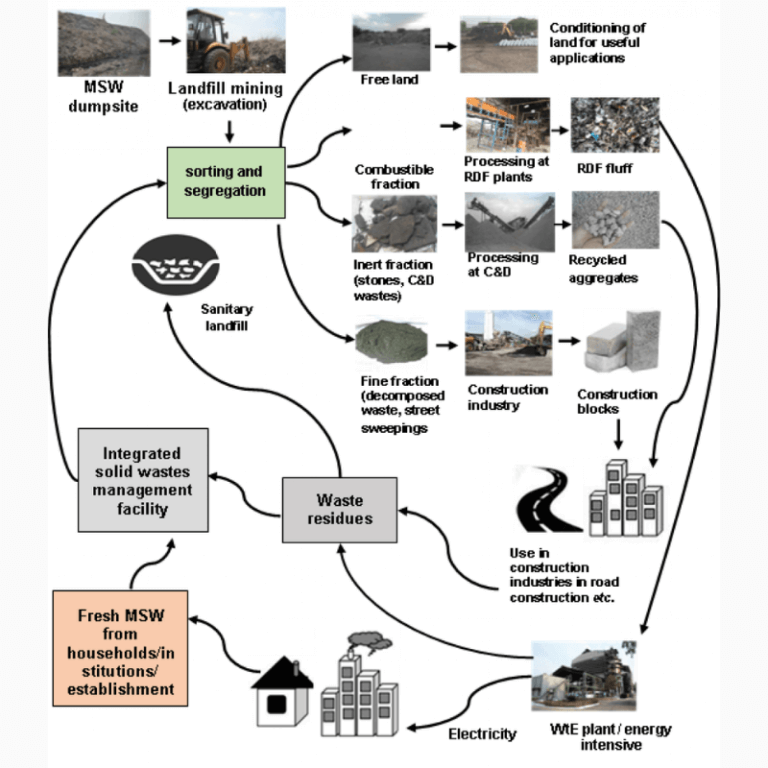 Biomining: How can it solve the problem of waste? - ClearIAS