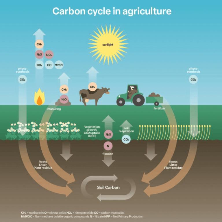Carbon Farming: Can India take advantage of the method? - ClearIAS