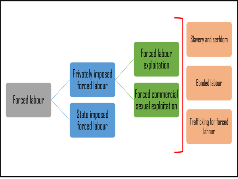Forced Labour: ILO study points at 37% increase in illegal profits ...
