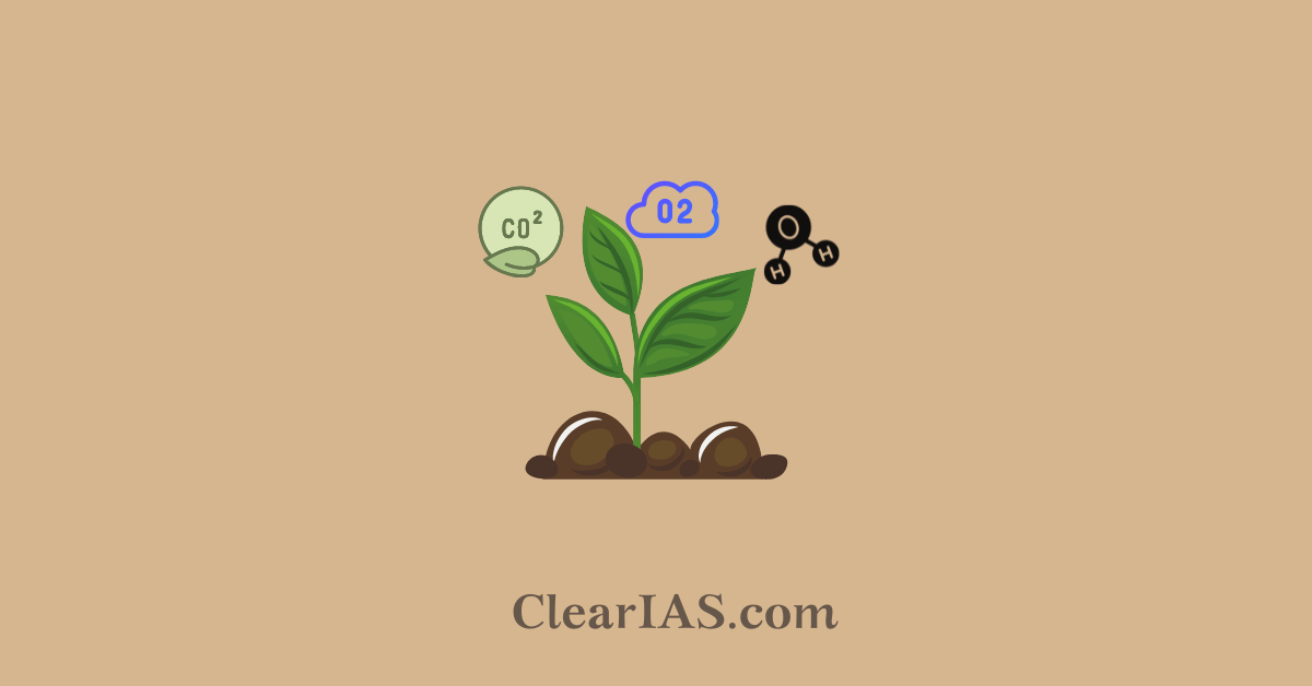 Cellulose ClearIAS Cellulose ClearIAS