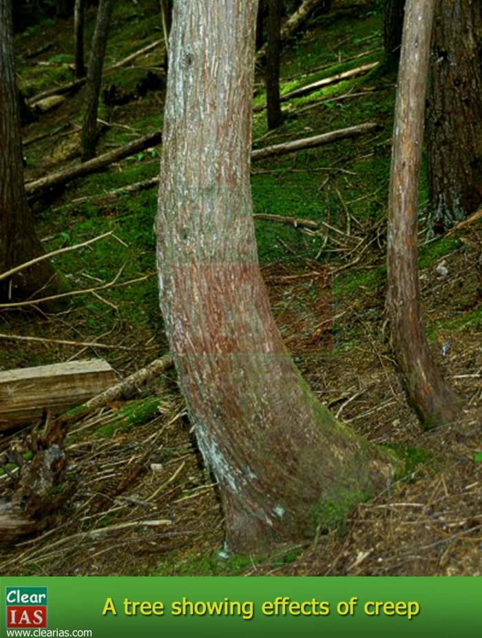 Exogenic Forces: Classification - ClearIAS