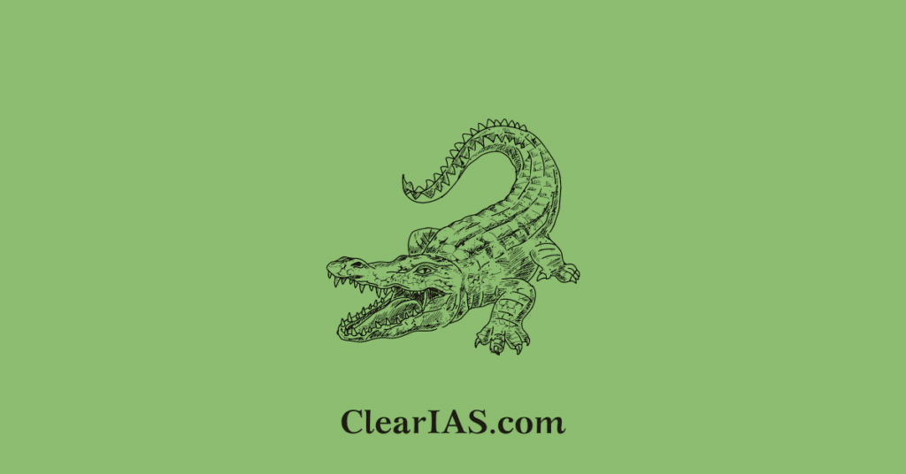 Crocodile Species in India | ClearIAS