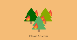 Forest Fires: Causes, Types and Effects - ClearIAS