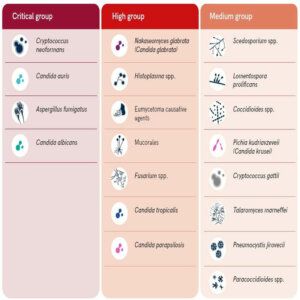 Fungal Diseases | ClearIAS