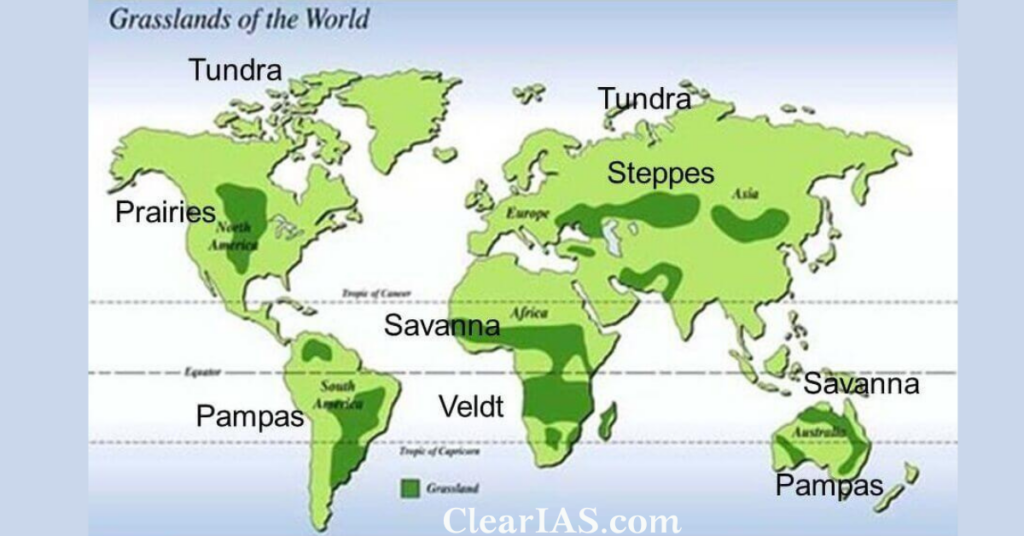Grasslands: Types, Features, and Significance - ClearIAS