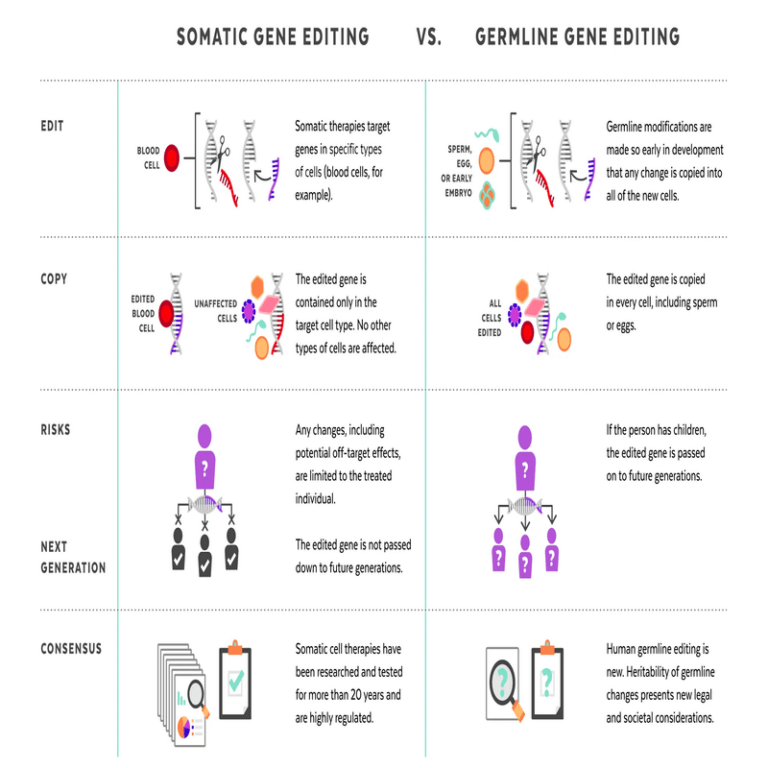 Heritable human genome editing (HHGE) | ClearIAS