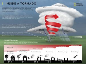 Tornado: How is it different from Cyclone? - ClearIAS