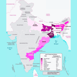 Jute Industry in India: The recent woes and Government steps - ClearIAS