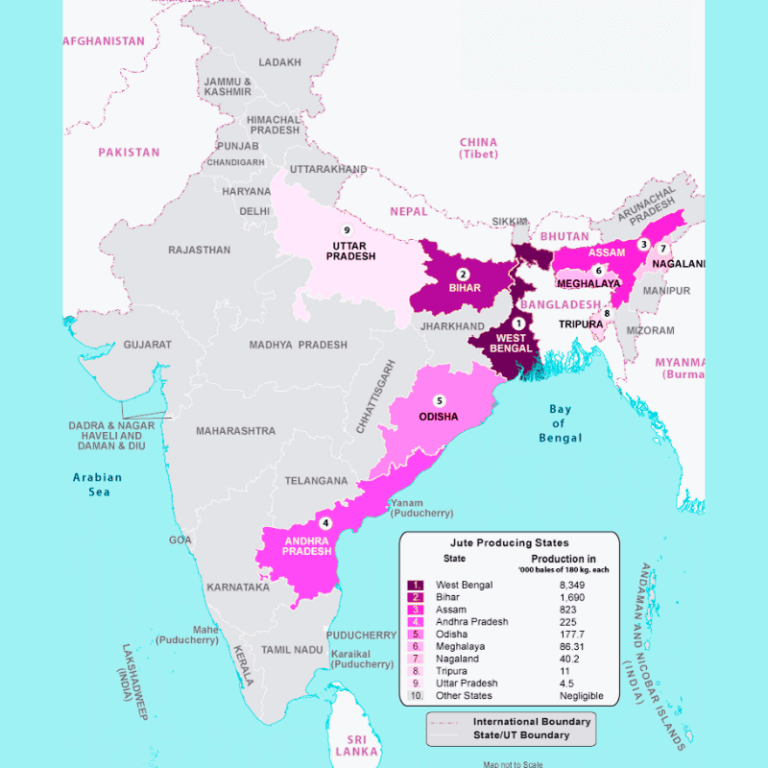 Jute Industry in India: The recent woes and Government steps - ClearIAS