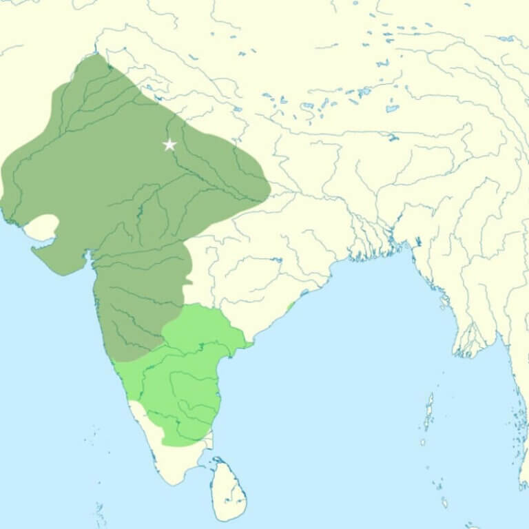 Delhi Sultanate: Khalji Dynasty - ClearIAS