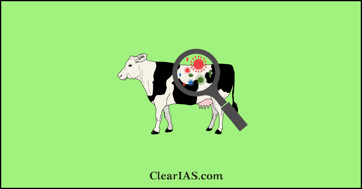 Lumpy Skin Disease Threat To Livestock Worldwide ClearIAS