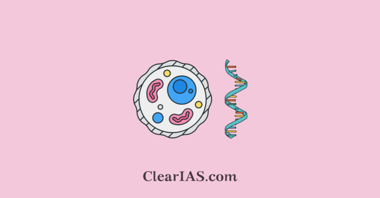 MicroRNA: The Nobel Prize in Physiology or Medicine 2024 - ClearIAS