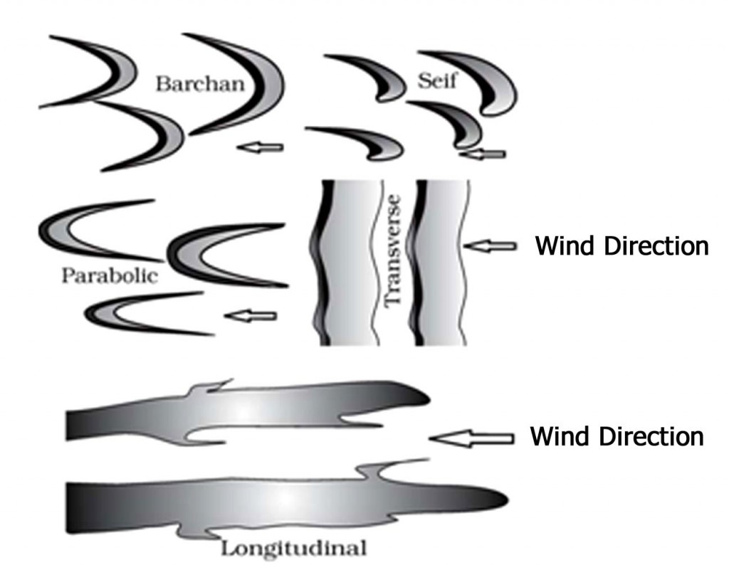 Erosion and Deposition: Action of Wind and Waves - Clear IAS