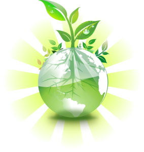 7 Major Environmental Movements in India | GreenStories