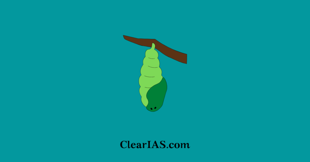 Sericulture - ClearIAS