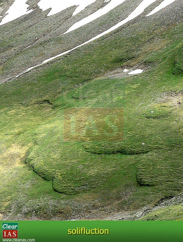 Exogenic Forces: Classification - ClearIAS