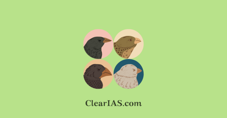 Speciation: An important evolutionary process - ClearIAS