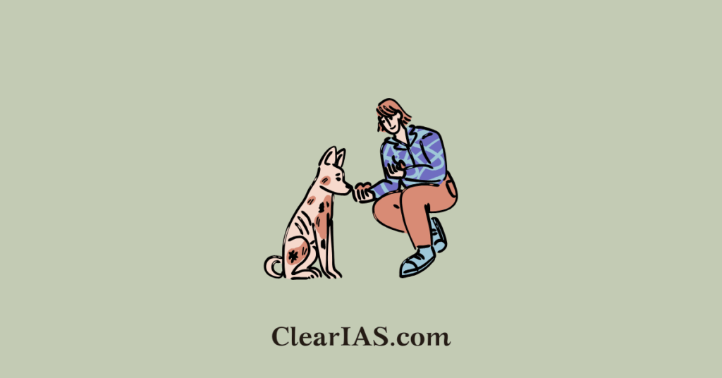 Stray Dogs Management | ClearIAS