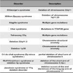 Chromosome and Chromosomal Disorders in Humans - ClearIAS