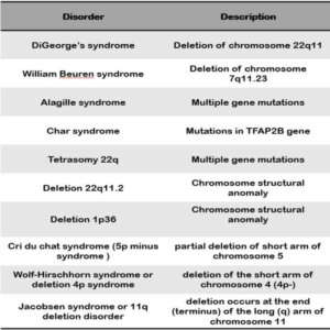 Chromosome and Chromosomal Disorders in Humans - ClearIAS