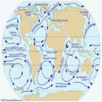 Movements of ocean water: Waves, Tides and Ocean Currents - ClearIAS