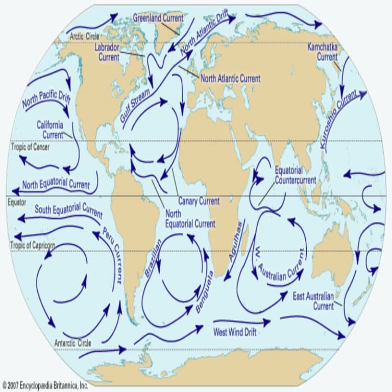 Movements of ocean water: Waves, Tides and Ocean Currents - ClearIAS