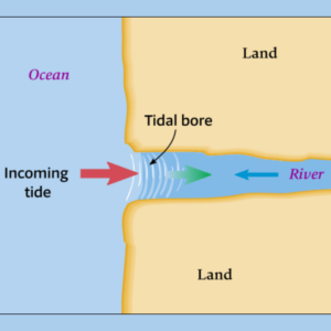 Movements of ocean water: Waves, Tides and Ocean Currents - ClearIAS
