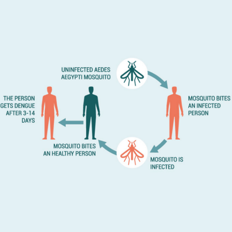 Dengue: Causes and Prevention - ClearIAS
